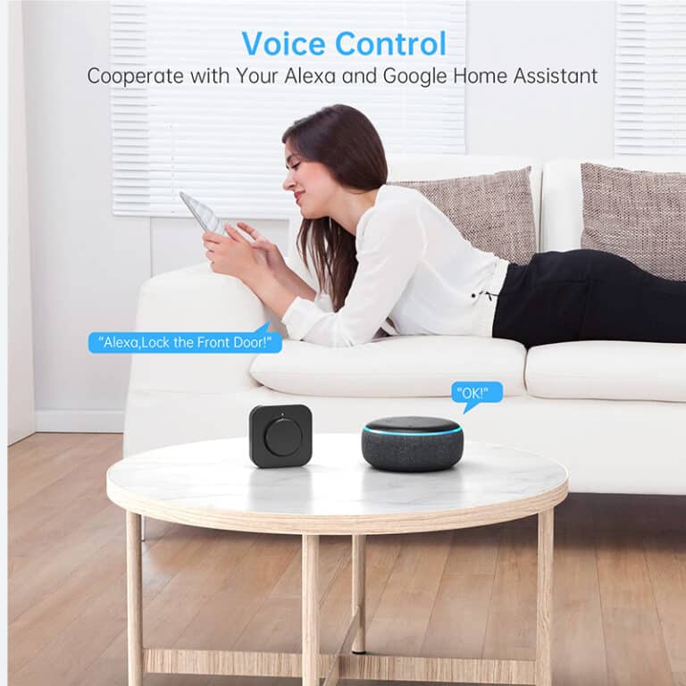 An Overview of Voice-Activated Door Locks and Their Capabilities